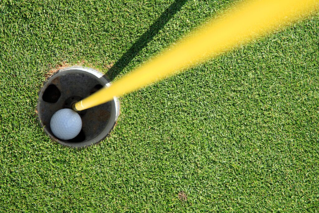 You Had a “Hole in One” and Won a Prize!!! Not so Fast—The “Hole In One ...